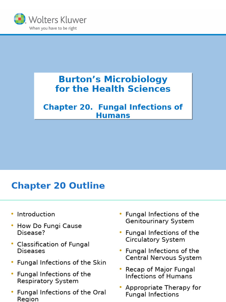 Fungal Infections in Humans Explained | PDF | Candida (Fungus) | Human ...