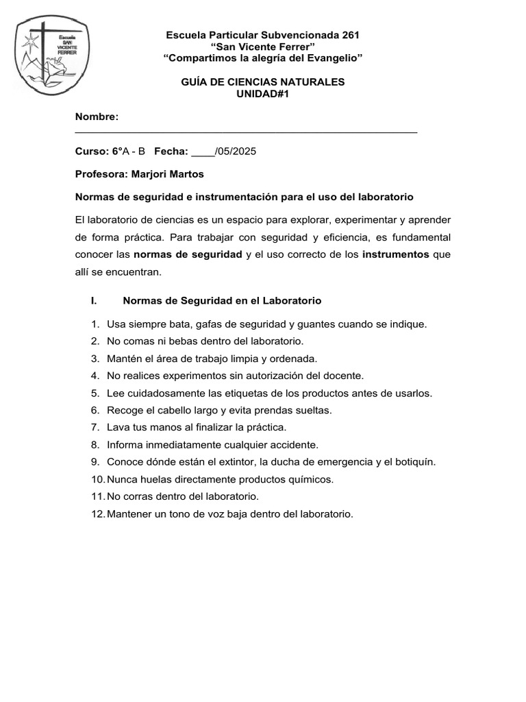 Guía de Normas e Instrumentos de Laboratorio 6to | PDF | Laboratorios