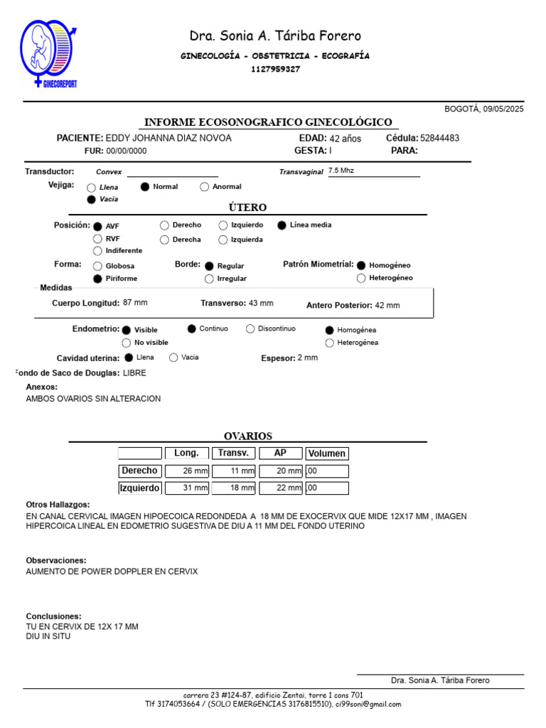 ECOGRAFIA TRANSVAGINAL | PDF | Ultrasonido médico | La salud de la mujer