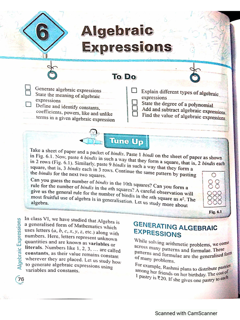 Algebraic Expression | PDF