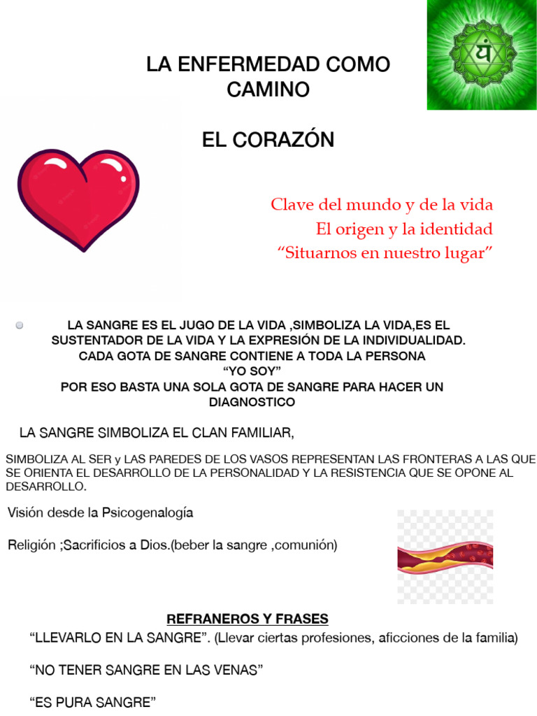 EL CORAZON | PDF | Ventrículo (corazón) | Sistema circulatorio