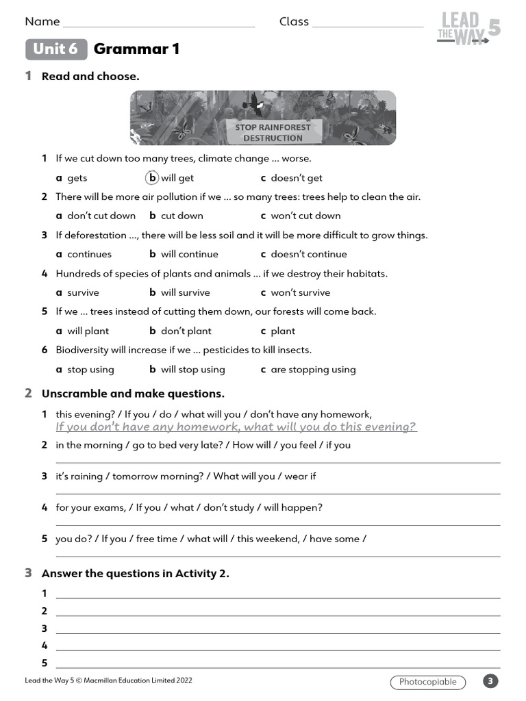 LTW5 Worksheets Grammar U6 1 | PDF