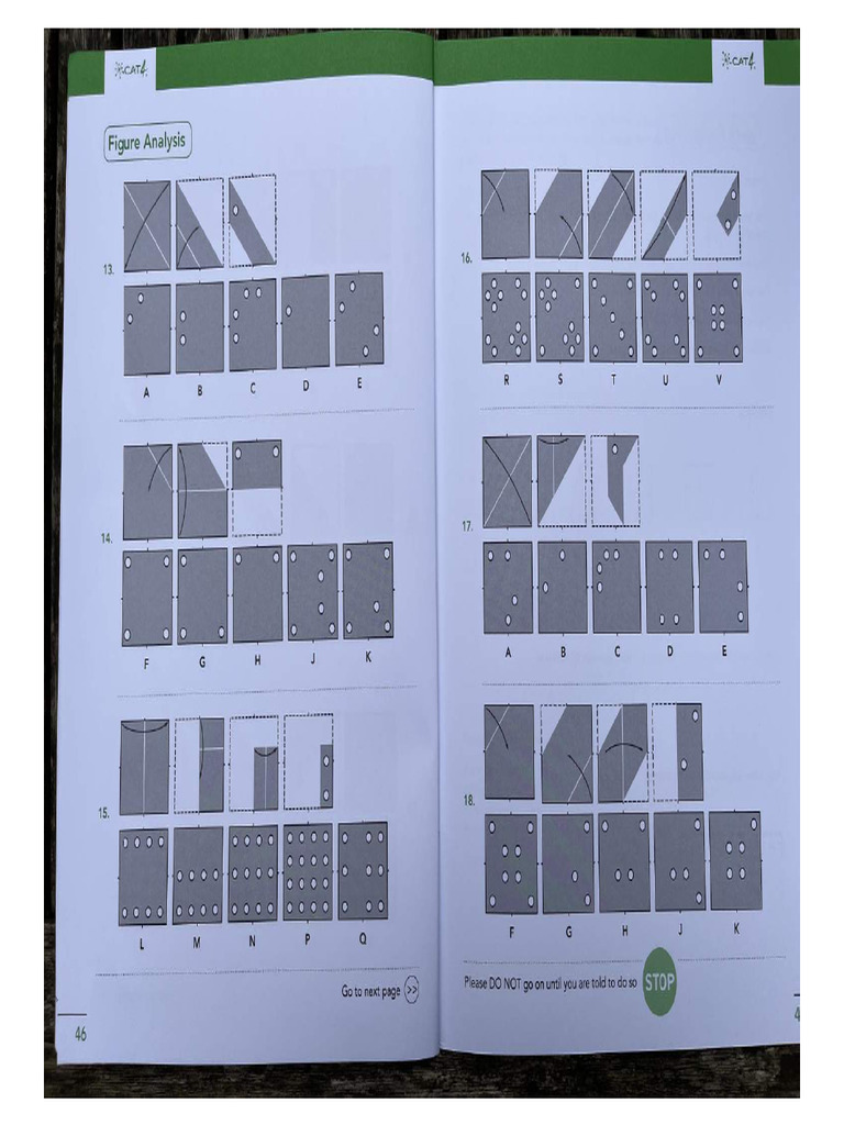 Figure Analysis CAT4 Sample Questions | PDF