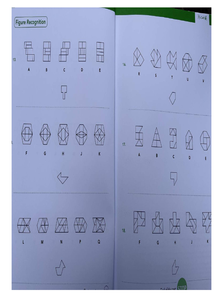 Figure Recognition Sample Questions | PDF