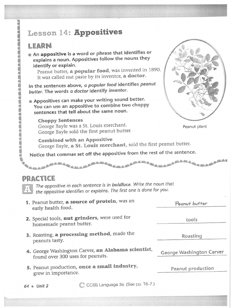 (p.64 83) Grade 3 - Grammar Workshop Blue Unit 14 17 7 | PDF