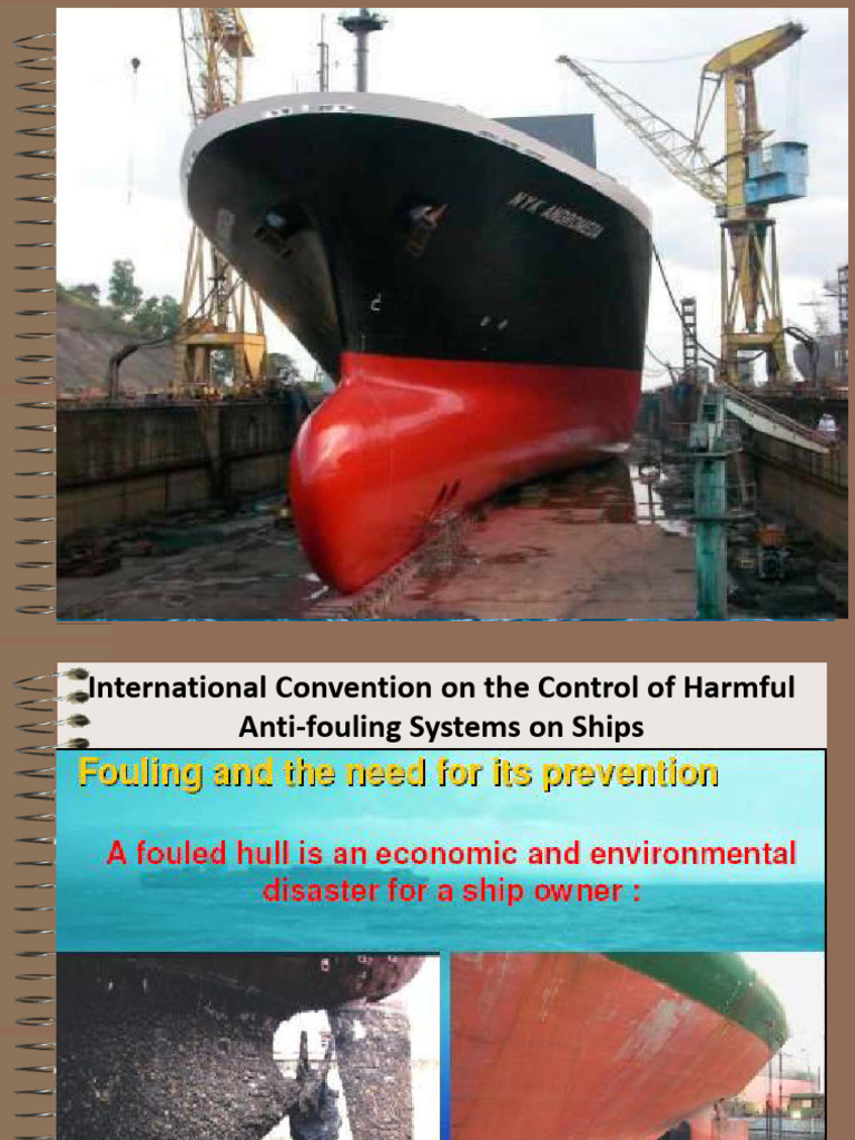 Anti-Fouling Systems on Ships Explained | PDF | Environmental Science