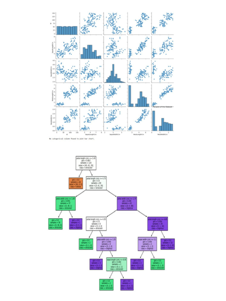 ML Output 5,9 | PDF