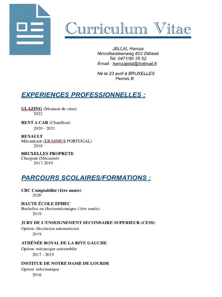 CV Hamza | PDF