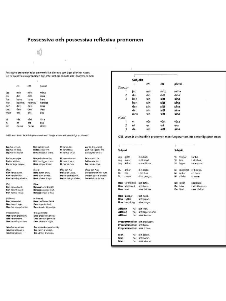 Poss Pron, Poss Reflx Pronomen .Föklaring | PDF