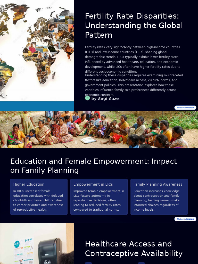 Fertility Rate Disparities Understanding The Global Pattern | PDF ...