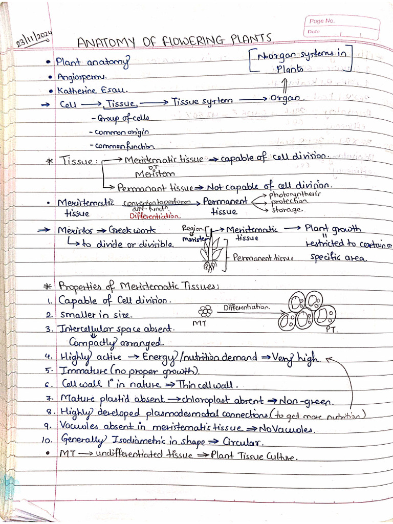 Ankush - Sir's 6 | PDF