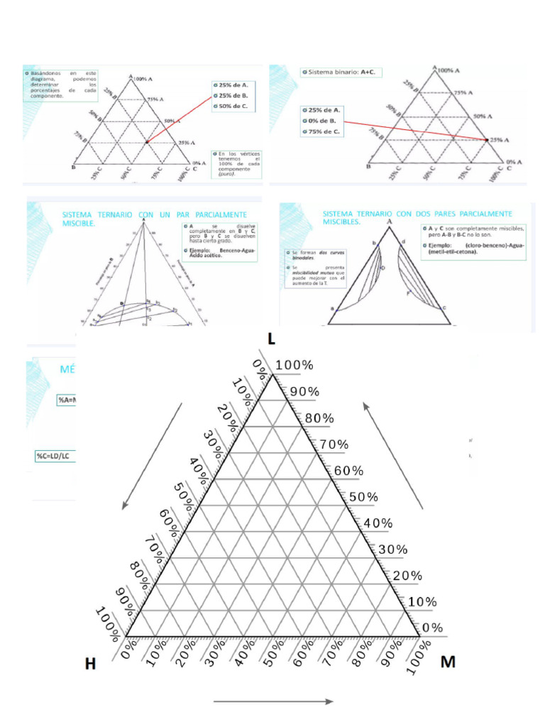 Triangulo de Gibbs | PDF