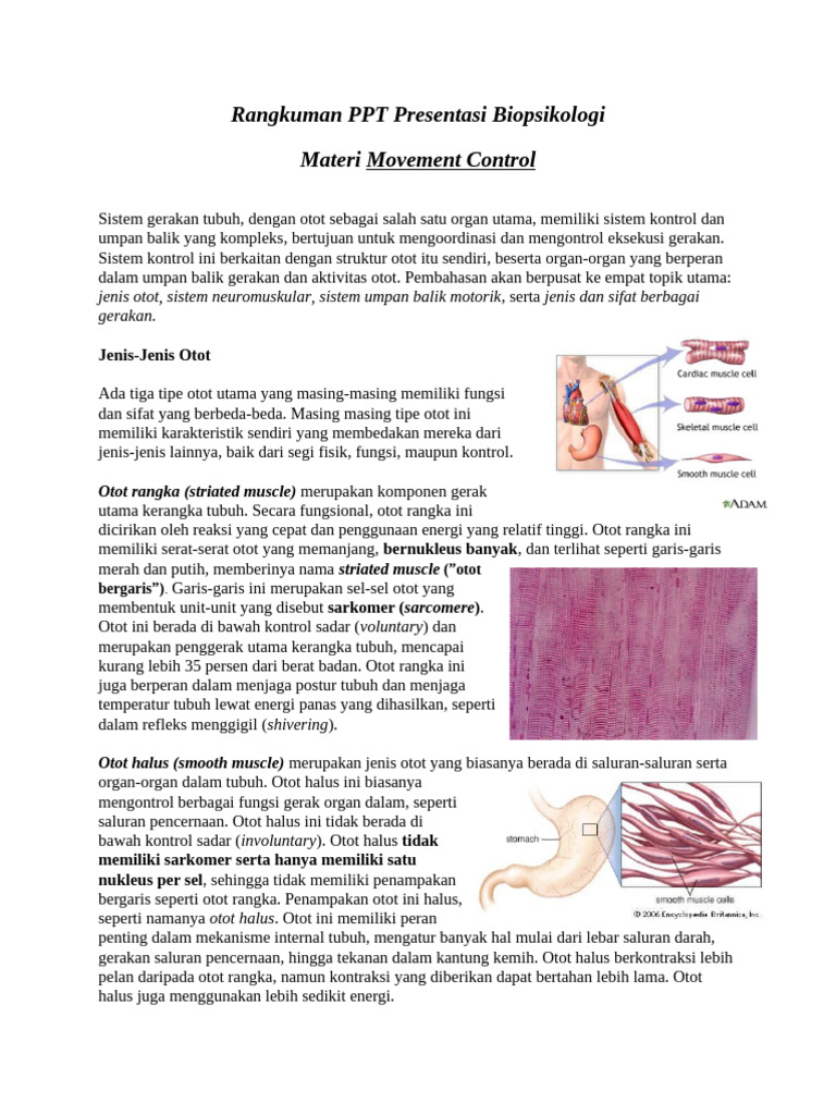 Buat Presentasi 50 Persen Nilai Btw | PDF