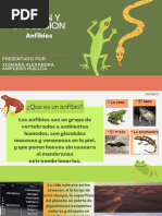 Características de los Sarcopterigios | PDF | Pescado | Vertebrados ...
