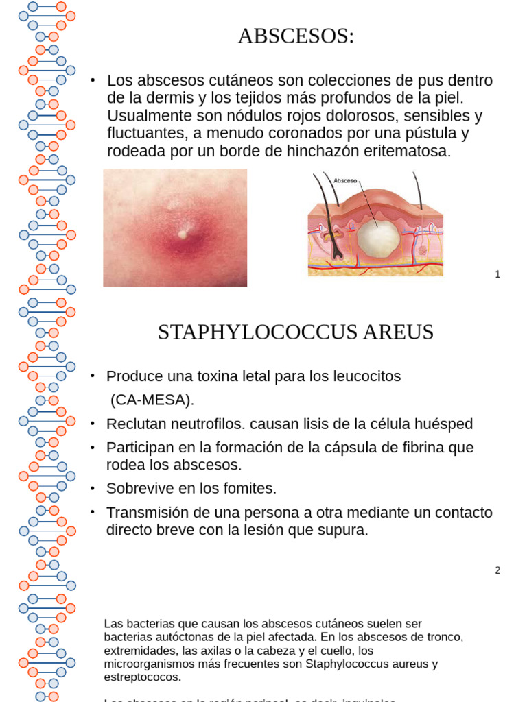 Absceso Intergluteo: Diagnóstico y Tratamiento | PDF | Enfermedades y ...