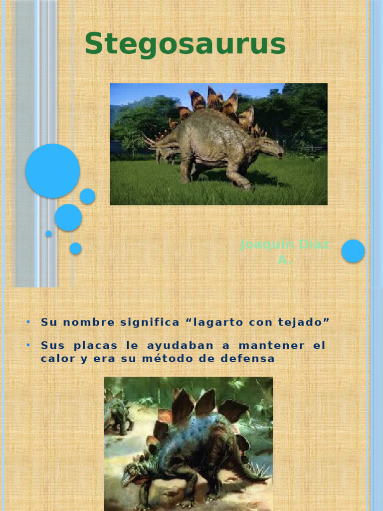 Stegosaurus | PDF