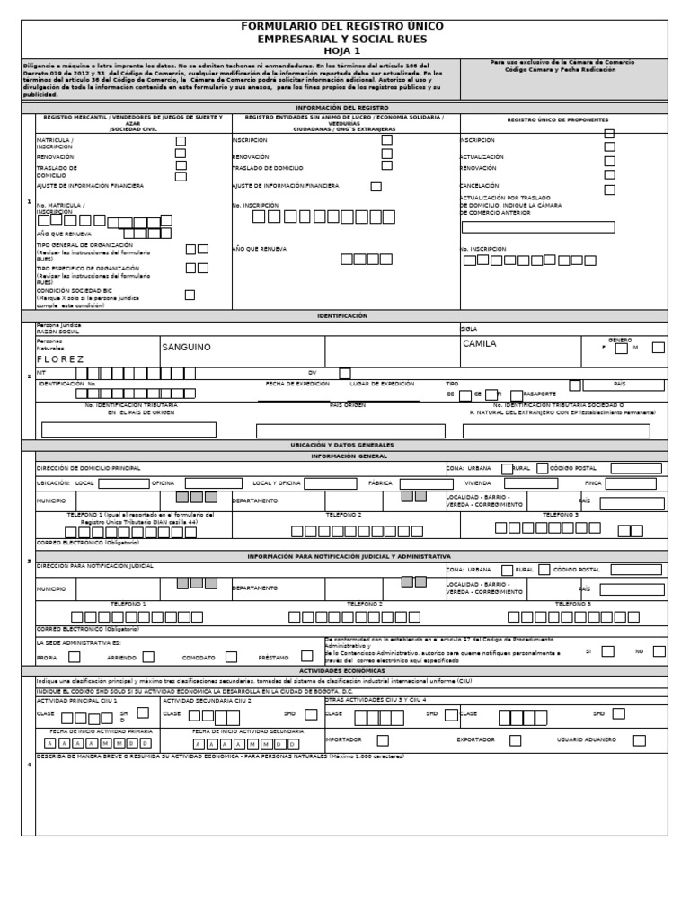 Formulario de Registro Unico Empresarial y Social Rues GG | PDF | Hoja de balance | Economias