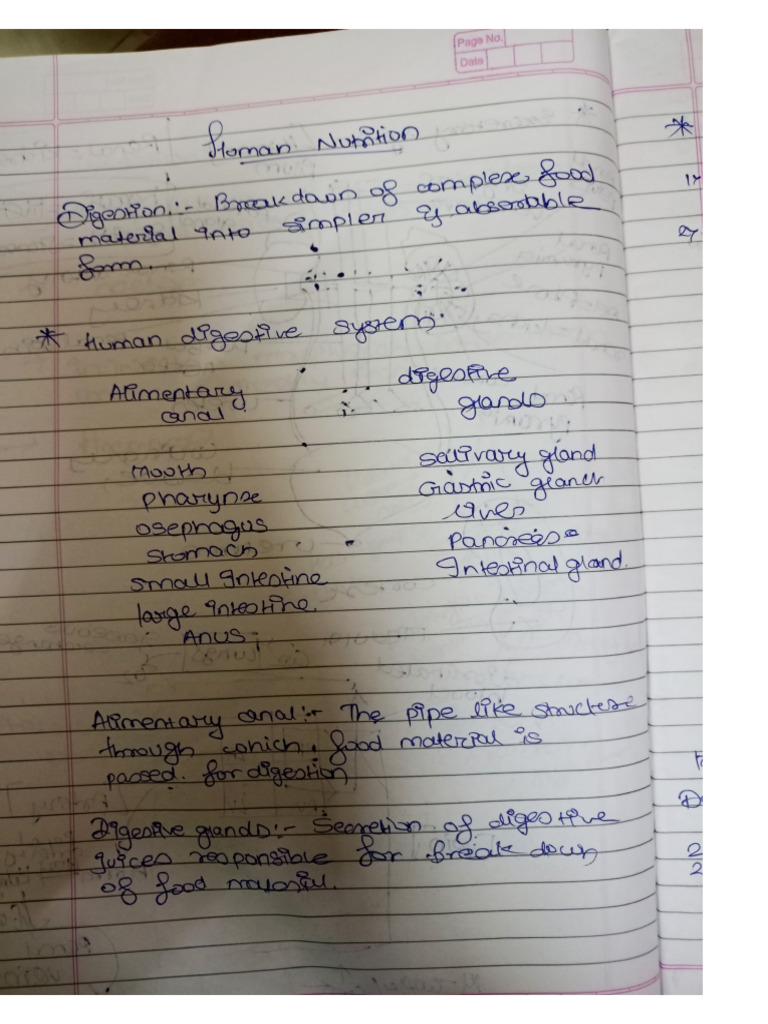 # Human Nutrition 11th | PDF