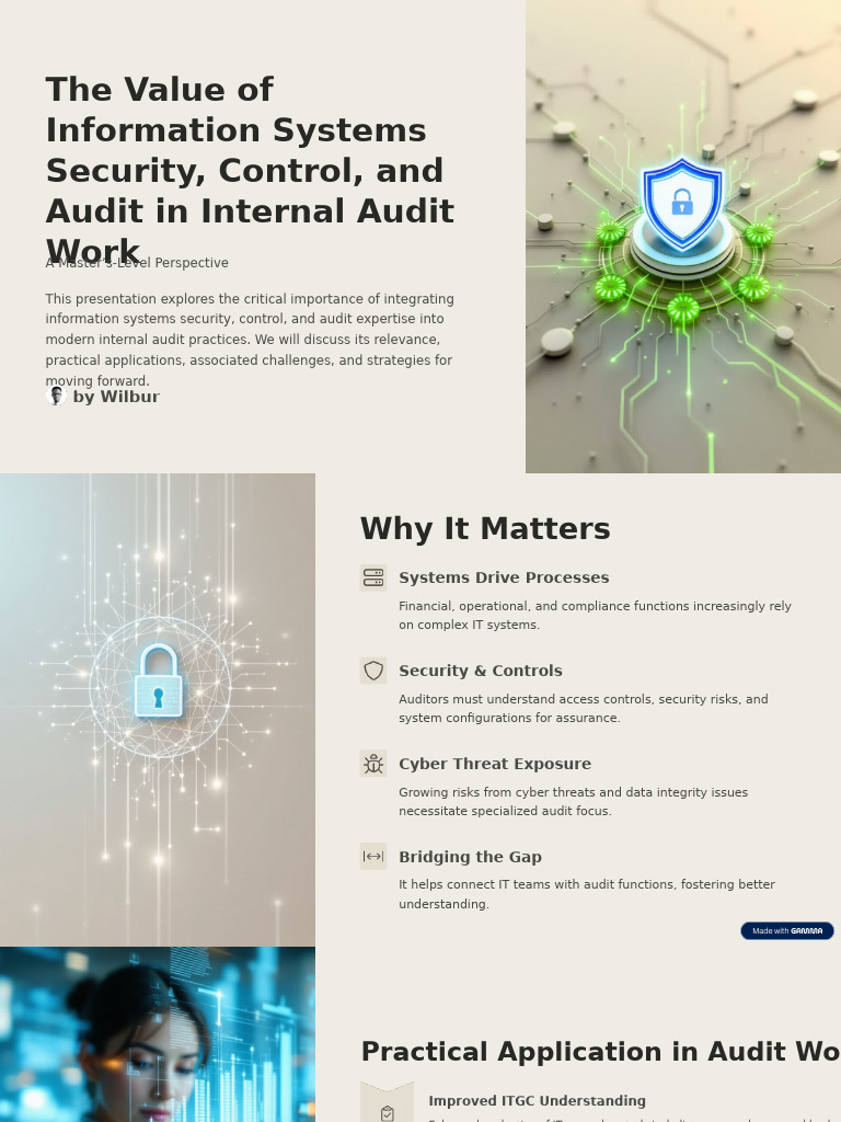 The Value of Information Systems Security Control and Audit in Internal ...