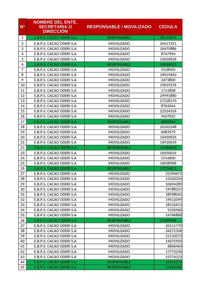 Formato para Consolidar (1X10) | PDF