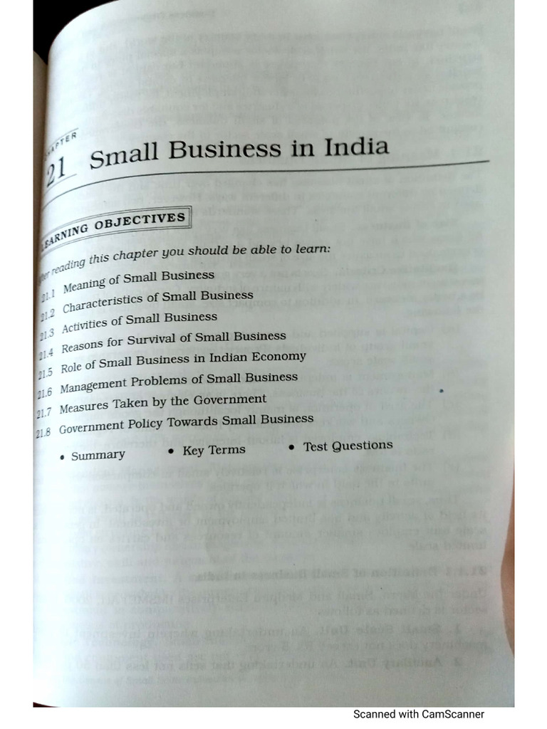 21.small Business | PDF