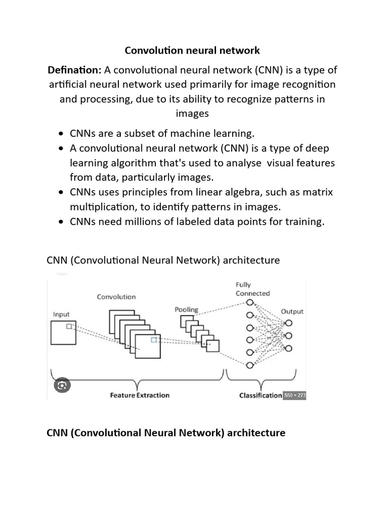 Convolution Neural Network | PDF | Computational Neuroscience | Computer Vision
