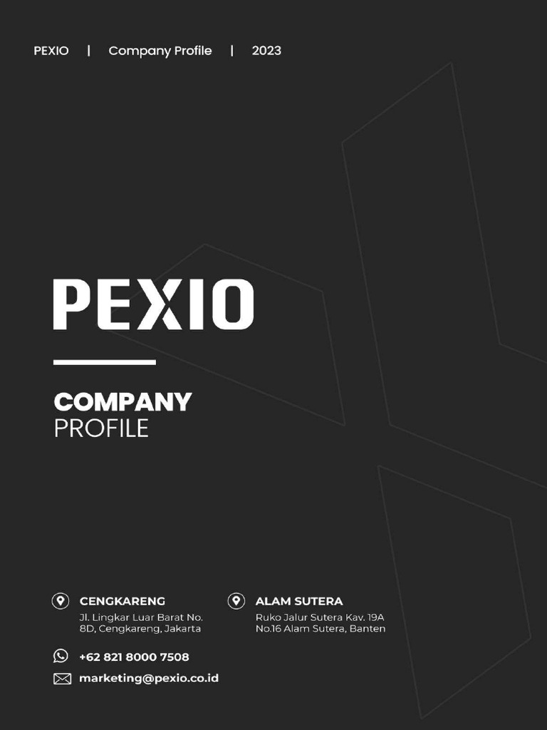 Company Profile PEXIO | PDF