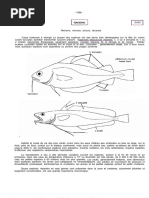 Respiration et branchies des poissons | PDF | Branchie | Physiologie ...
