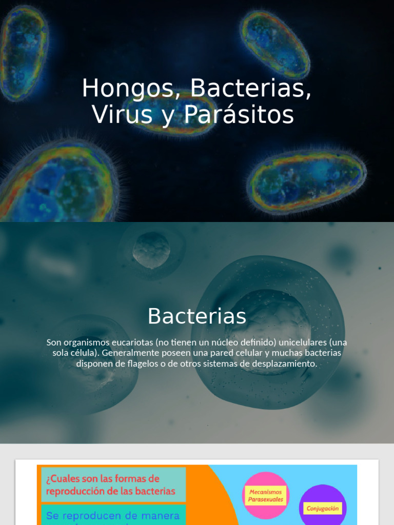 Hongos, Bacterias, Virus y Parásitos | PDF | Virus | Hongo
