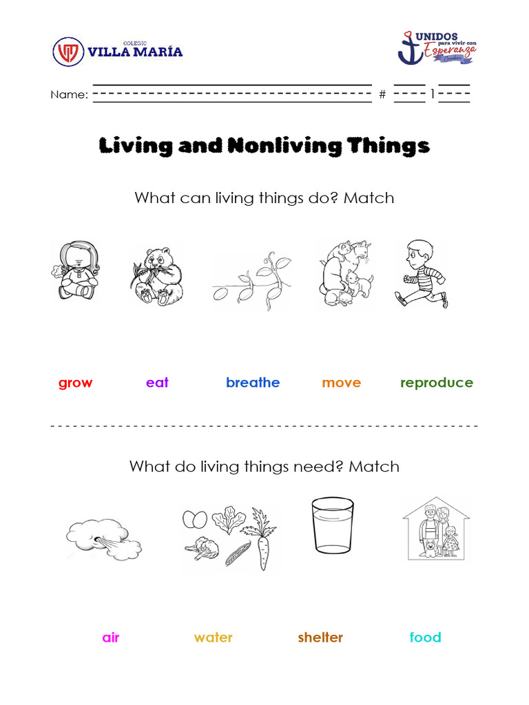 Living and Nonliving Things (Classroom) - CHECKED | PDF