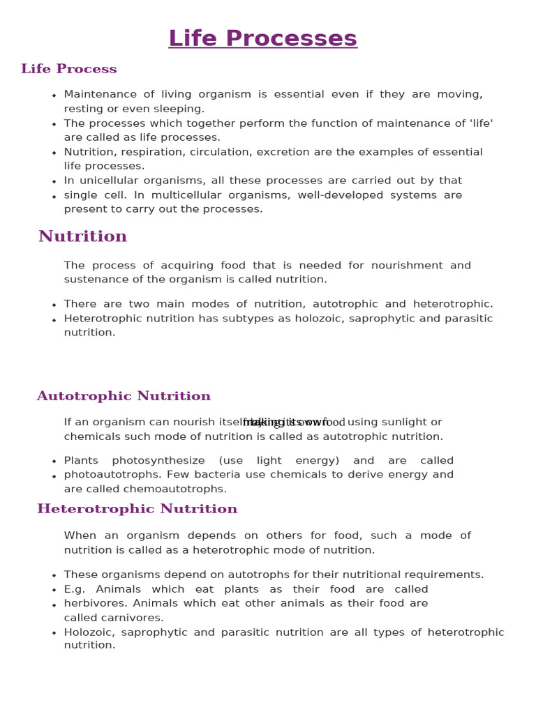 Life Processes Class 10 Notes 2 | PDF | Respiratory System | Excretion