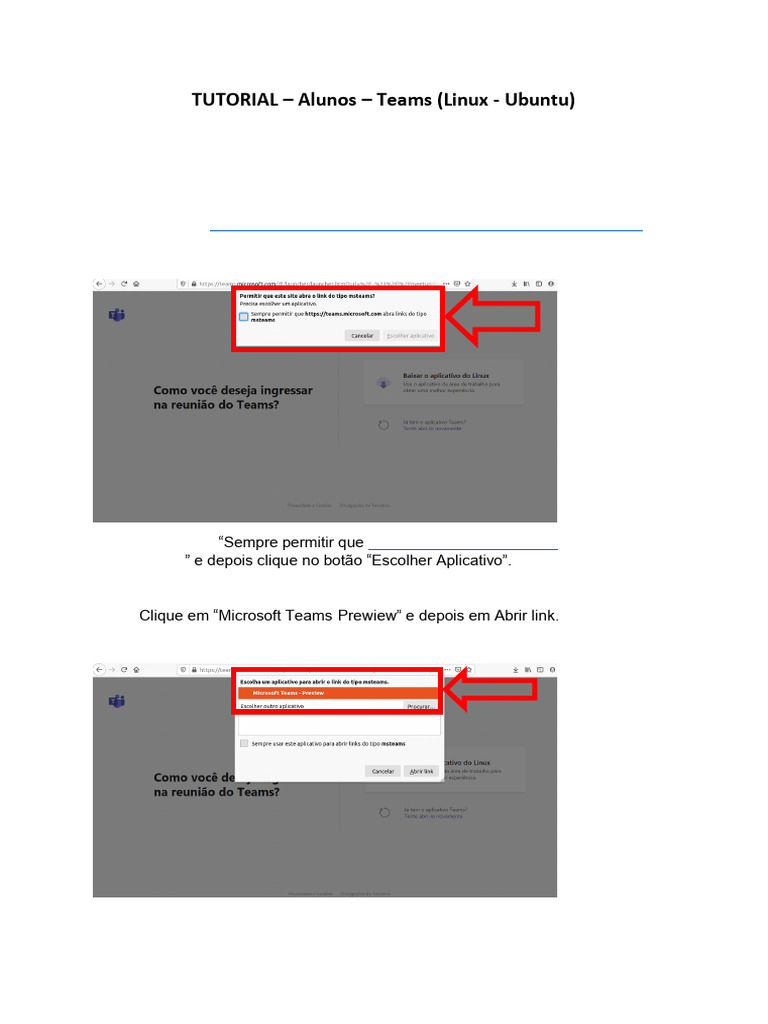 TUTORIAL – Alunos – Teams(Linux) | PDF