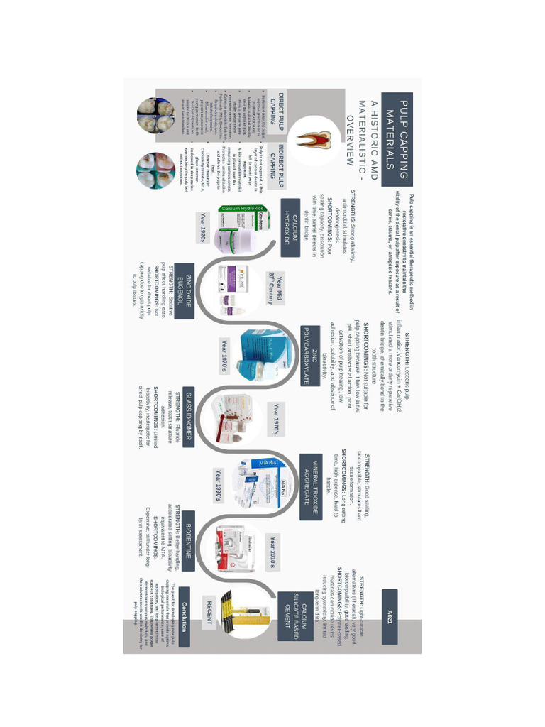 Chronological Overview | PDF