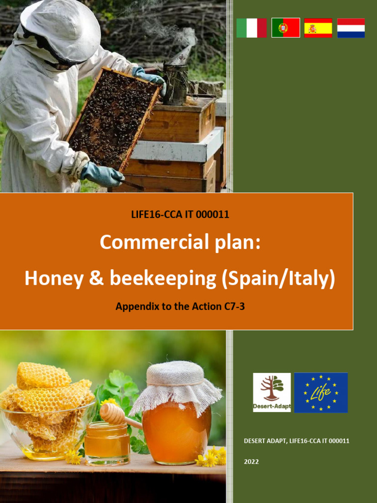 Commercial Plan Honey and Beekeeping - Int & Spain & Italy (ENG) | PDF | Bees | Beehive