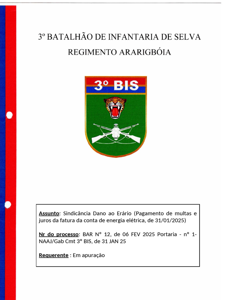 Sindicância sobre Dano ao Erário 2025 | PDF