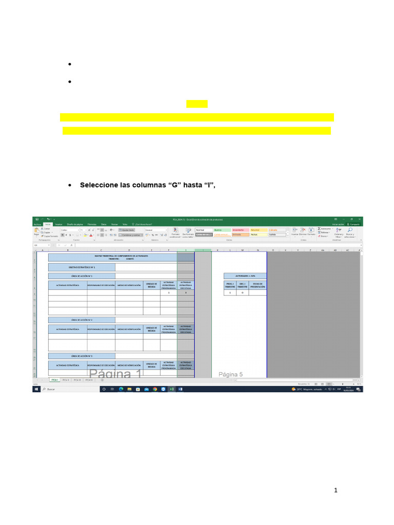 Paso A Paso para Usar El Formato de Its - Coresec y Coprosec | PDF ...