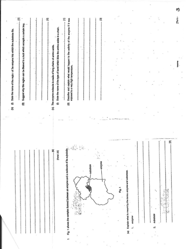 Enzyme Substrate Question | PDF