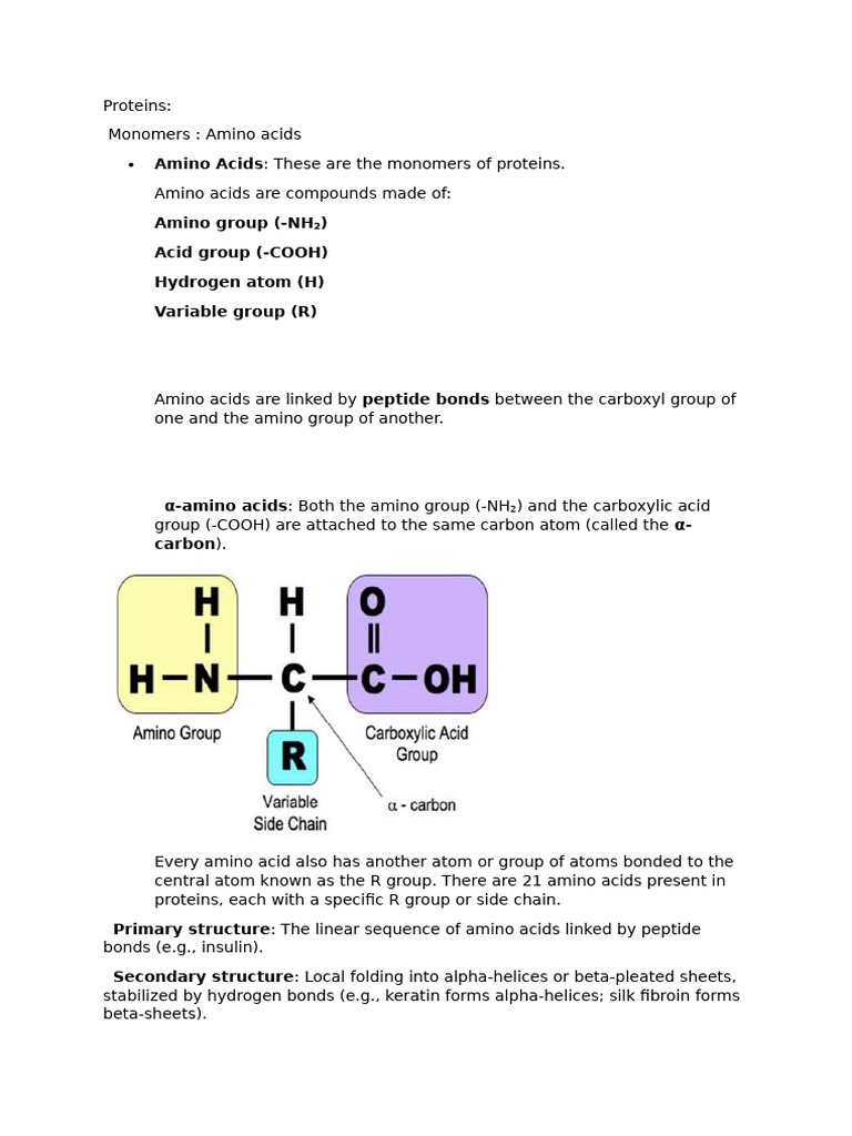Structure of Biomicromolecules | PDF | Carbohydrates | Nucleotides