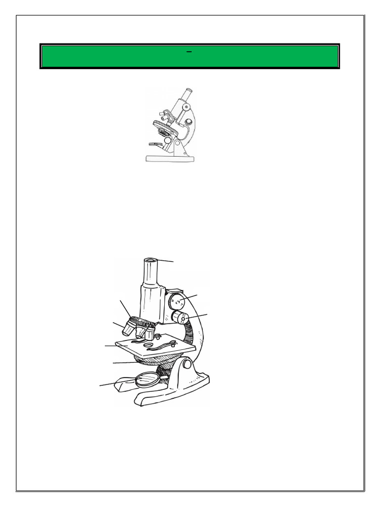 Chapter 4 - The Microscope - QUESTIONS | PDF | Glass Engineering And ...