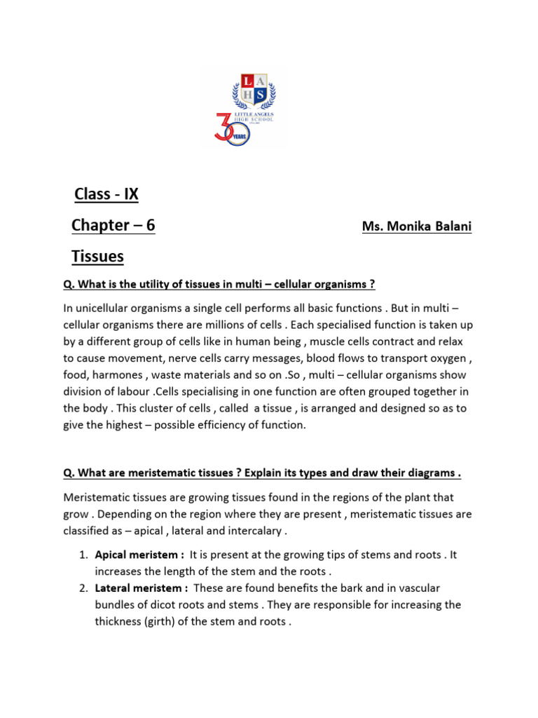 Class - IX 6 Tissues: Q. What Is The Utility of Tissues in Multi ...