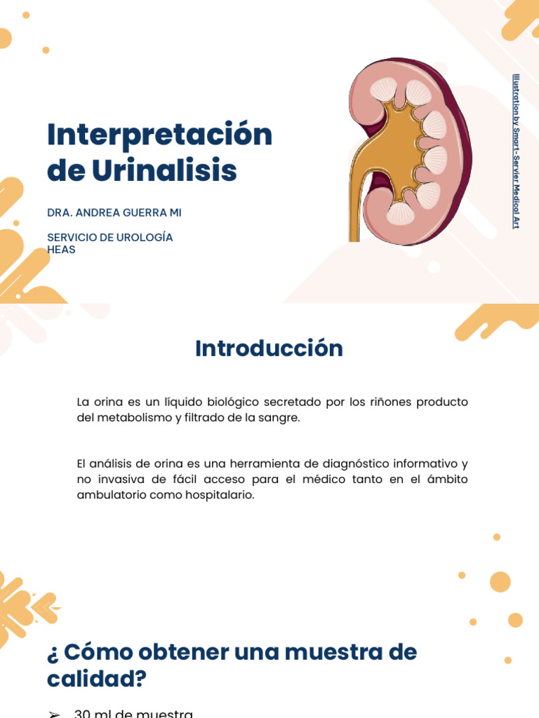 Interpretación De Urinalisis Pdf Orina Medicina Clinica