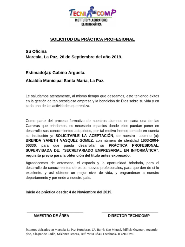 Solicitud de Práctica Profesional | PDF