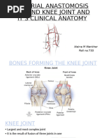 Genicular Anastomosis Around Knee Joint | PDF