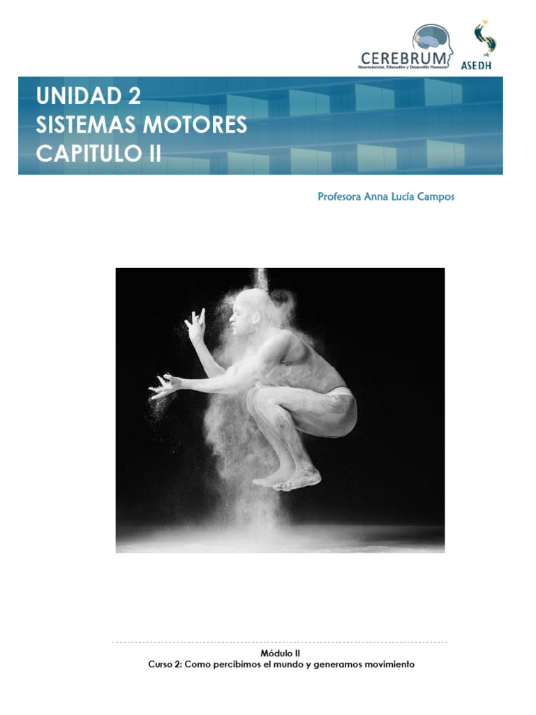 Sistema Motores II | PDF | Músculo | Neurona motora