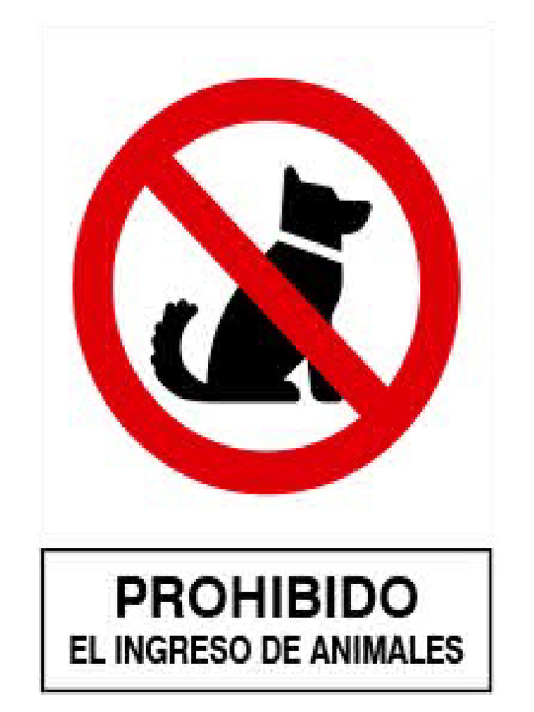 No Animales | PDF