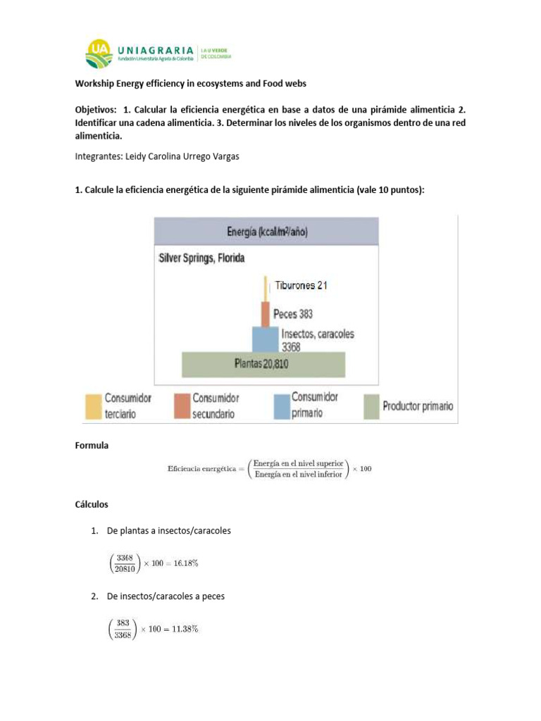 Taller de Redes Tróficas | PDF | Red alimentaria | Ecología de sistemas