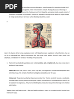 Life Sciences Gr.11 Lesson 35 Gaseous Exchange (Human Gas Exchange ...