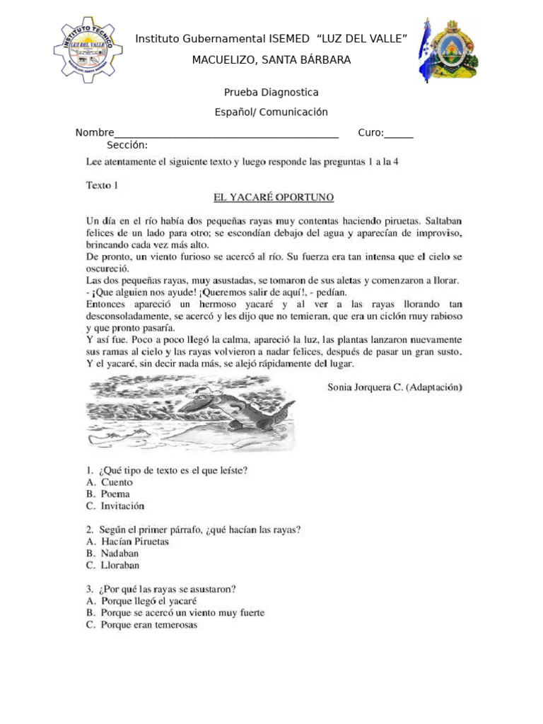 Prueba Diagnóstica de Español ISEMED | PDF