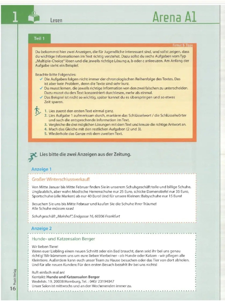 Arena A1 Lesen 1 | PDF