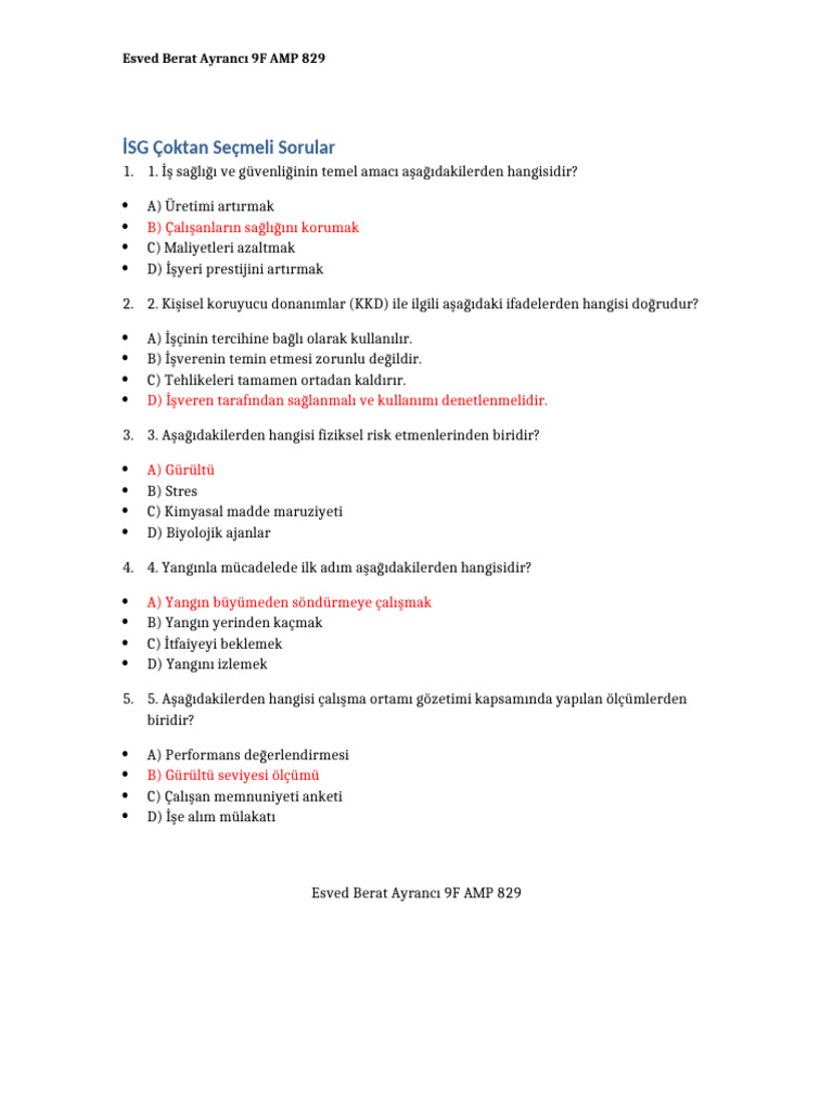 Isg Sorular Duzenli | PDF